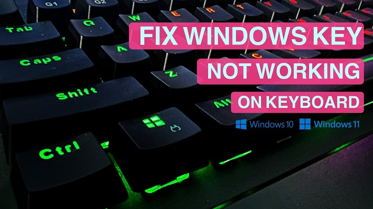 Hur man fixar Windows -tangenten fungerar inte på Windows 11/10