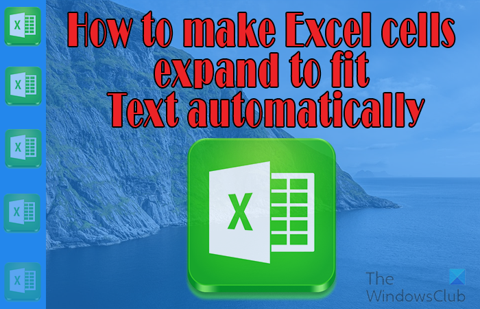 Hur man får Excel-celler att expandera så att de passar text ...