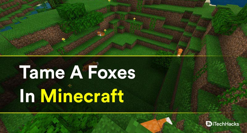 Cómo domesticar un zorro en Minecraft - Tiempo de Frikis