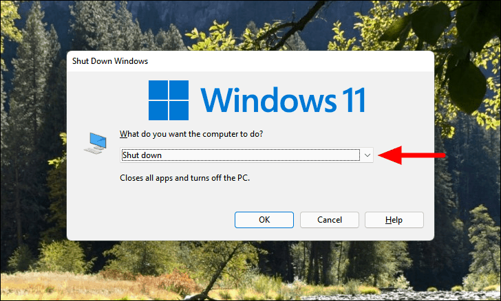 Cómo reiniciar Windows 11