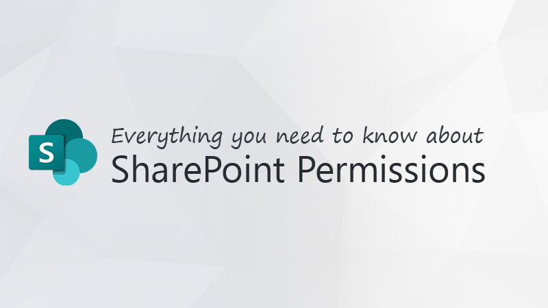 Cómo configurar permisos de SharePoint – Guía completa - Tiempo de Frikis