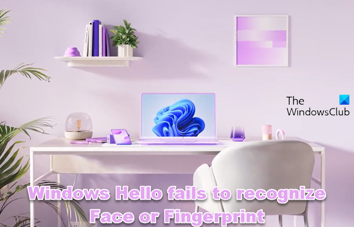 Windows Hello no reconoce la cara o la huella digital - Tiempo de Frikis