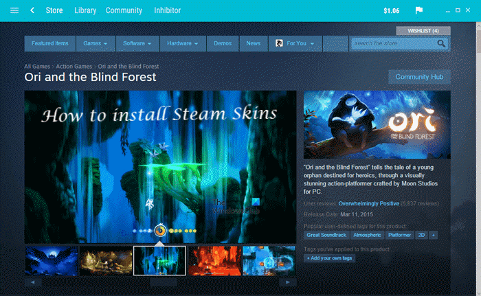 Cómo instalar Steam Skins en Windows 11/10 - Tiempo de Frikis