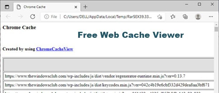 Ver archivos de caché: Visor de caché web gratuito para Chrome, Edge y ...