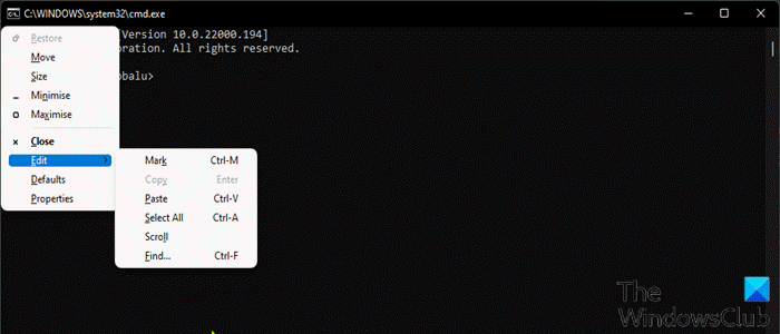 Habilite CTRL+C y CTRL+V en el símbolo del sistema en Windows 11 - Tiempo de Frikis