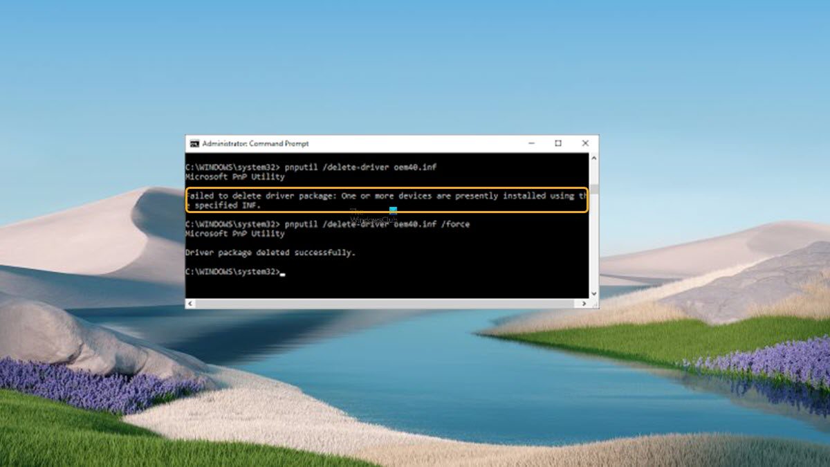 PnPUtil no pudo eliminar el paquete de controladores - Tiempo de Frikis
