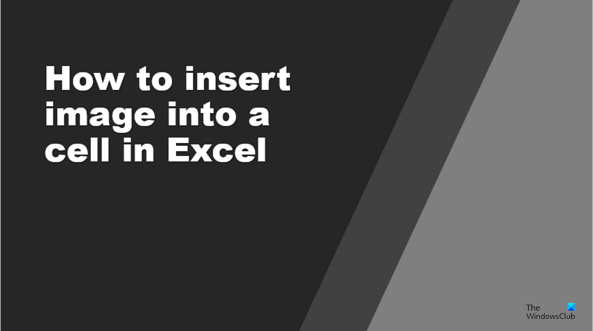 Cómo insertar imagen en una celda en Excel - Tiempo de Frikis