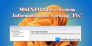 La información del sistema MSINFO32.exe no funciona [Solucionar ...
