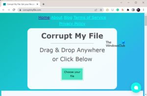 ¿Cómo corromper un archivo en Windows 11/10? - Tiempo de Frikis