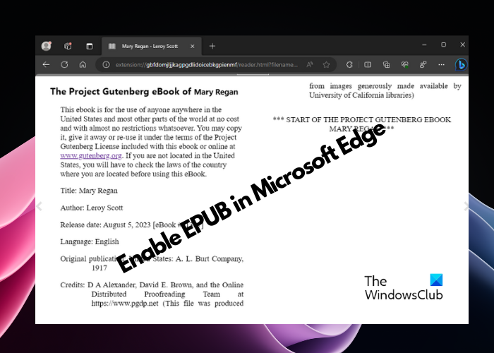 Cómo habilitar la compatibilidad con EPUB en Microsoft Edge - Tiempo de ...