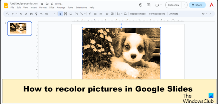 Cómo recolorar las imágenes en las diapositivas de Google
