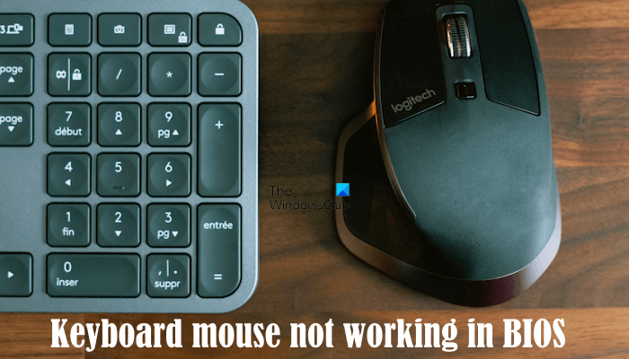 El teclado o el mouse no funcionan en BIOS en una computadora con ...