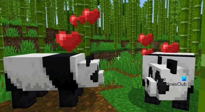 Cómo criar pandas en Minecraft