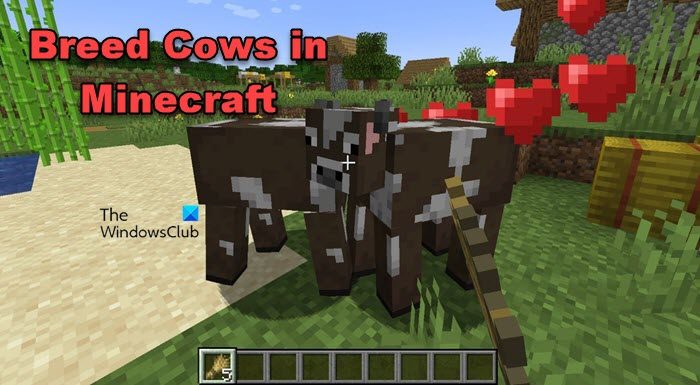 Cómo criar vacas en Minecraft - Tiempo de Frikis