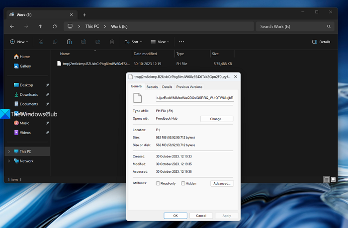 Qué Es El Formato De Archivo Fh En Windows