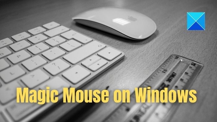 ¿Cómo configurar y usar Magic Mouse en Windows 11/10? - Tiempo de Frikis