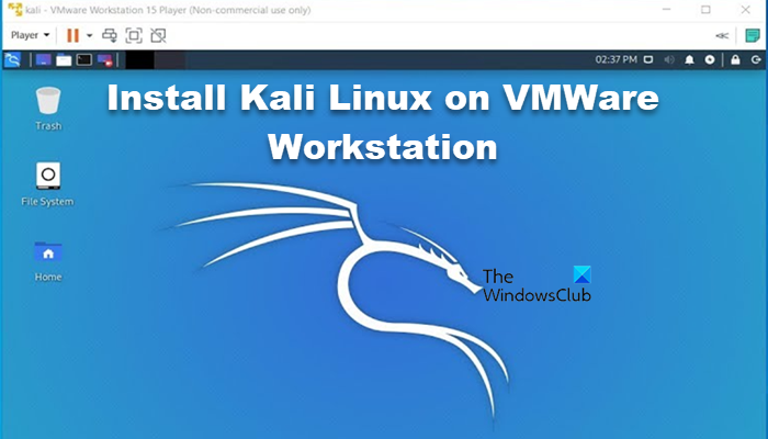 Cómo instalar Kali Linux en VMWare Workstation